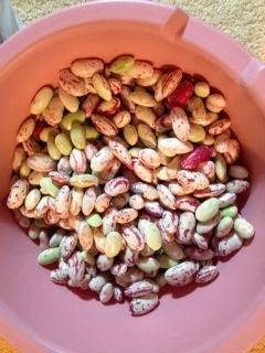 wooley thoughts: OCTOBER BEANS